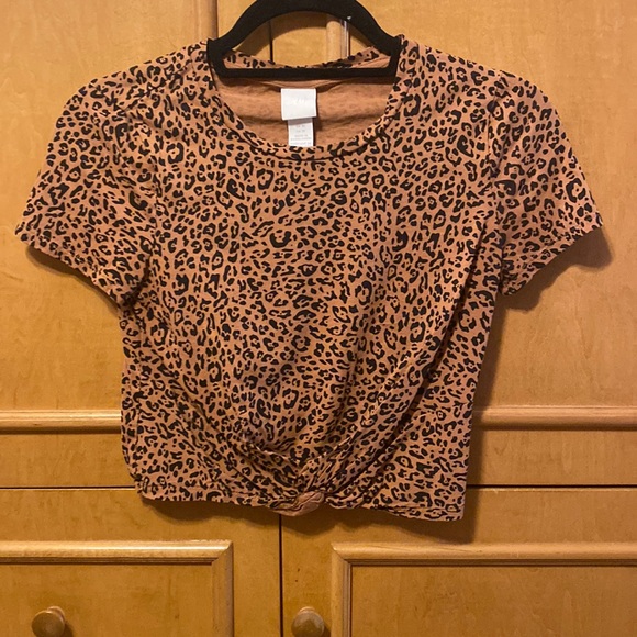 H&M | Tops | Cheetah Crop Top | Poshmark